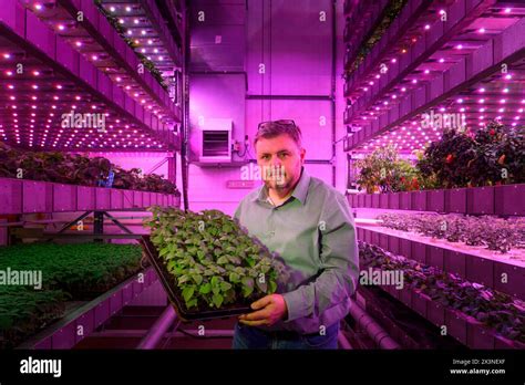 James Hutton Institute Vertical Indoor Farm Hydroponic Grow Room Inteligent Groth Solutions Food