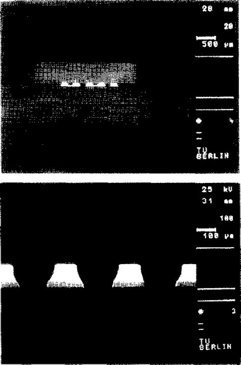 Figure From Fluxless Flip Chip Assembly On Rigid And Flexible Polymer Substrates Using The Au