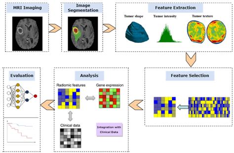 Radiomics And Machine Learning In Brain Tumors And Their Habitat A Systematic Review