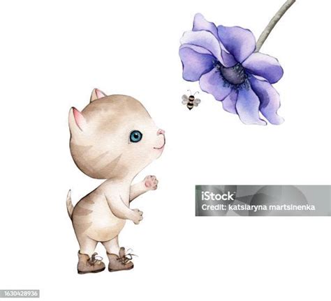 보라색 아네모네가 있는 수채화 그림 새끼 고양이 흰색 배경입니다 손으로 그린 고양이 새끼에 대한 스톡 벡터 아트 및 기타 이미지