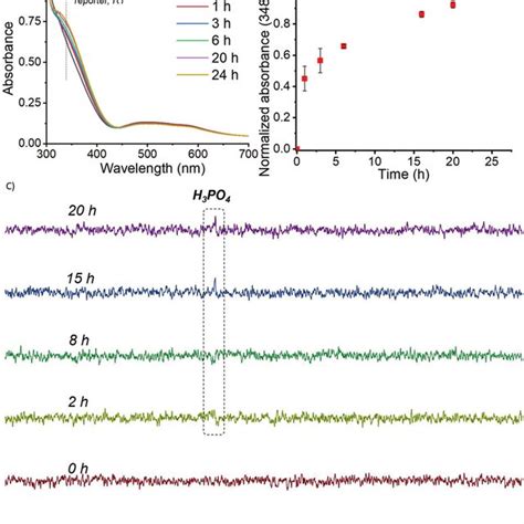 A Uv Vis Of The P1 Pdadmac Complex After Alp Incubation B Download Scientific Diagram