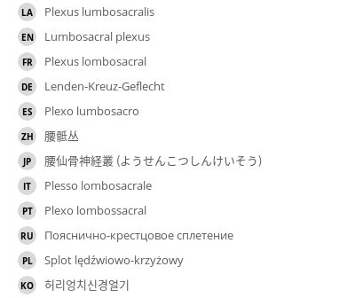 Plexo Lombossacral E Anatomy IMAIOS