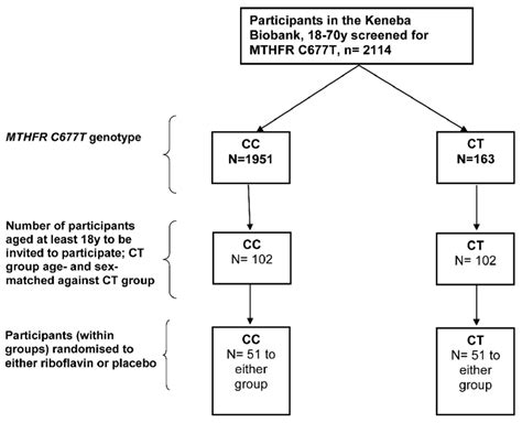 Schema Of Trial Design Download Scientific Diagram