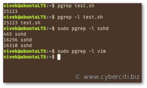 How To Check Running Process In Ubuntu Using Command Line Nixcraft