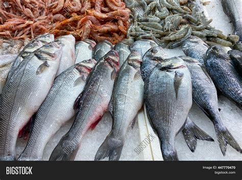 Fresh Fish Seafood Image And Photo Free Trial Bigstock