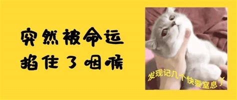首例丨精准，不为其他，只想你健康患者超声手术