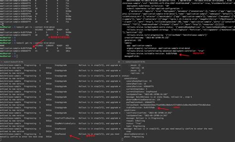 Bug When The Last Batch Of Releases Is Done And In A Paused State