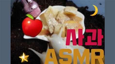 [둥둥이네] 애완달팽이 사과🍎 먹방 Asmr🌙 Youtube