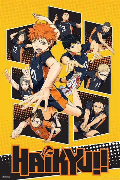 Haikyuu Poster Karasuno High School Volleyball Team Shoyo Anime Stuff
