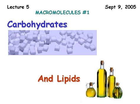Lecture MACROMOLECULES Carbohydrates And Lipids Sept