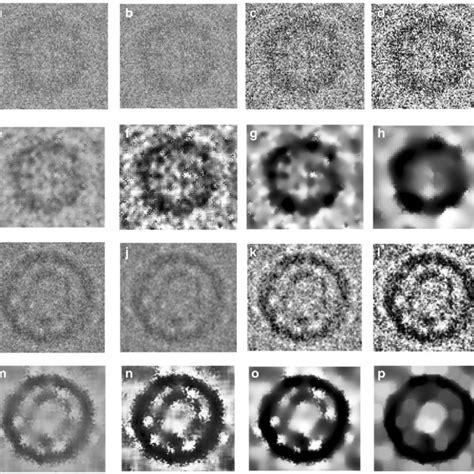 Cryo Em Image Averaging And Normalization Result Using Eman2 A The