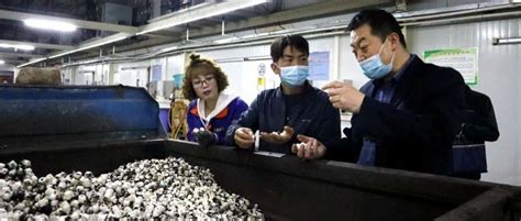 三进三问三查真情实意为民解忧 倾心服务助企纾困 临泽县深入开展三进三问三查保稳定促发展惠民生活动纪实 企业 社区 惠企