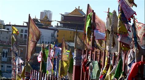 Модонд хадаг уях нь модны мөчир зулзаган модыг гэмтээдэг МОНГОЛ ТВ