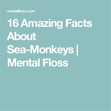 20 Amazing Facts About Sea Monkeys Sea Monkeys Fun Facts Facts
