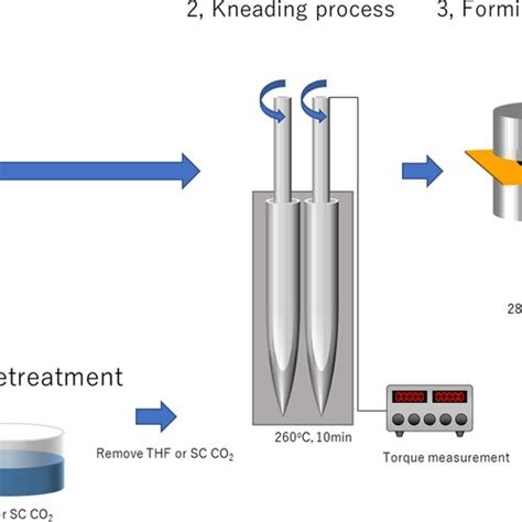 Schematic Outline Of The Experimental Procedure Download Scientific