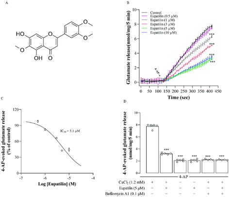 A The Structure Of Eupatilin B 4 Ap Induced Release Of Glutamate