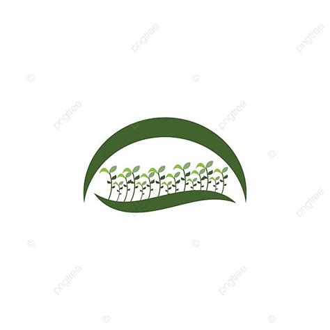 草標誌現代夏季花園 向量 現代的 夏天 花园向量圖案素材免費下載，png，eps和ai素材下載 Pngtree