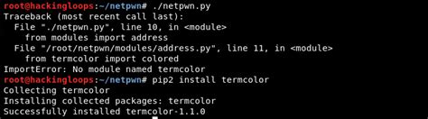 Performing Diverse Penetration Tasks Using Netpwn Framework