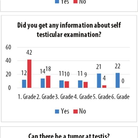 The Awareness Of Testicular Cancer And Self Testicular Examination