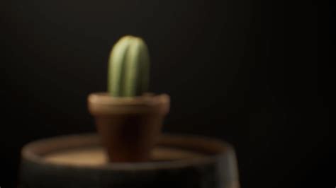 wallace ferreira on linkedin unrealengine cactus unreal