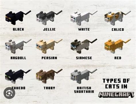 Minecraft Cat Types Minecraft Cat Minecraft Minecraft Crafts
