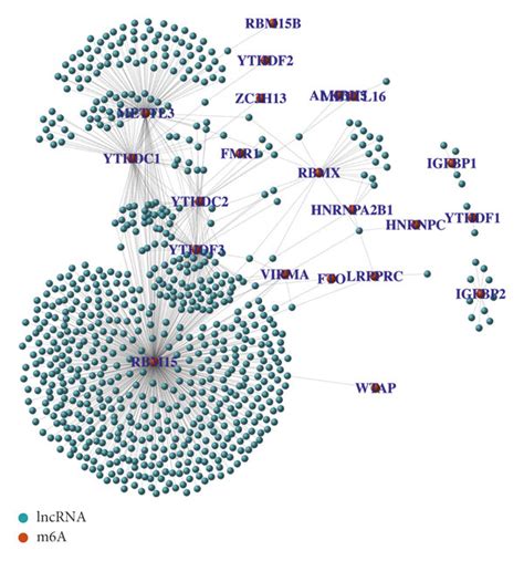 Identification Of M6a Related Prognostic Lncrnas In Bladder Cancer A