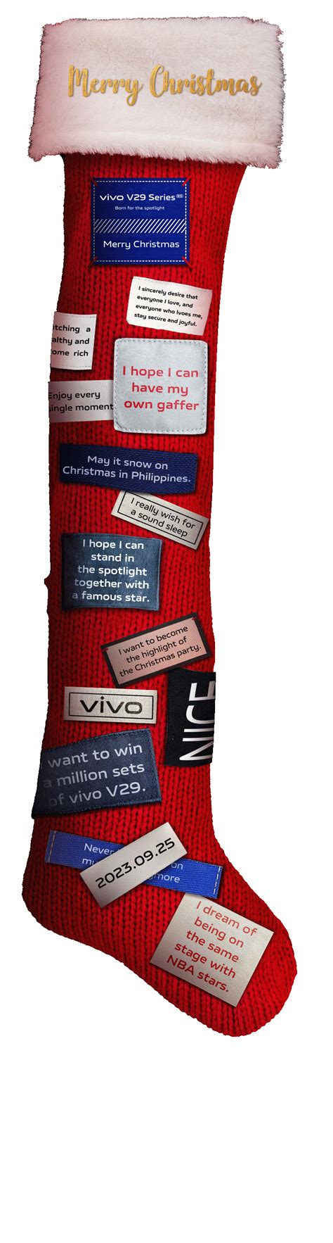 What Is Your Christmas Wish