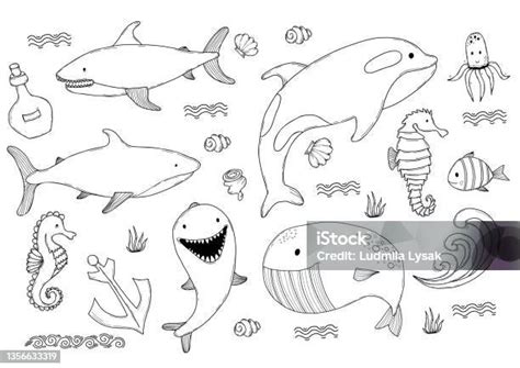 해양 생물의 집합 귀여운 큰 고래와 상어 킬러 고래와 돌고래 해마와 물고기 오징어와 껍질 벡터 개요 그림 수동 드로잉 선형 스타일 색칠 공부책으로 사용할 수 있습니다 개체