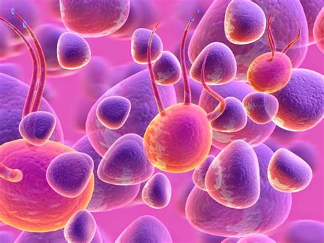 Modern Pain Relief STEM CELL THERAPY TODAY TYPES AND FUNCTIONS OF STEM CELLS