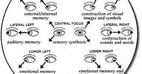 psychology of eye movements album on imgur