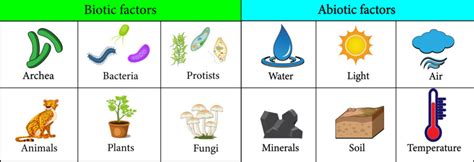 Abiotic And Biotic Factors Examples