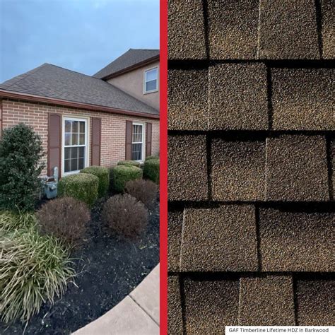 Bachmans Roofing Solar And Remodeling On Linkedin Shinglespotlight