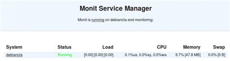 Uso De Monit Ejemplos Reales El Camino Del Sysadmin