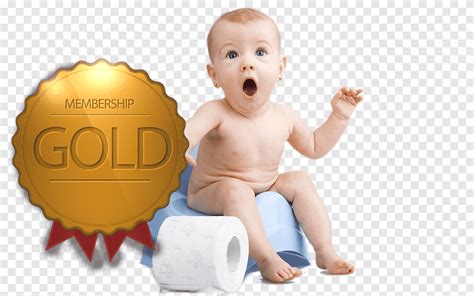 기저귀 유아 아동 화장실 훈련 배변 변기 훈련 어린이 유아 Png Pngegg