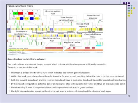 Genome Annotation 2013