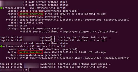 Crash Issue Google Groups Archive Orthanc Users