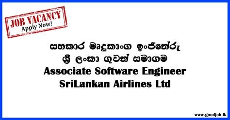 Software Engineer Job Sri Lanka Jobs Remarks Cv Lanka