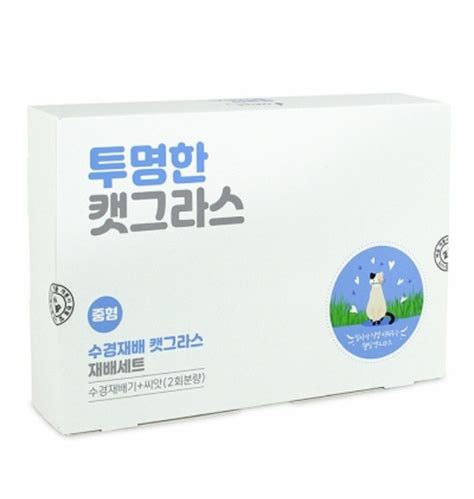 캣그라스재배세트 반려묘 캣그라스 중형 1p 수경재배세트 헤어볼배출 캣그라스수경재배 티몬
