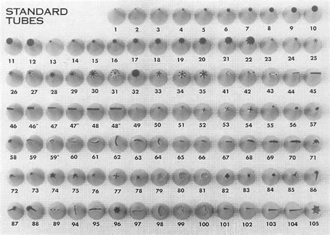 Cake Decorating Tips Numbers
