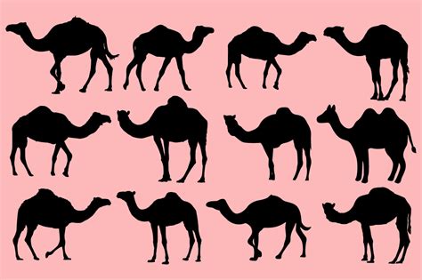 Camel Vector Bundle Graphic By Magic Vector · Creative Fabrica