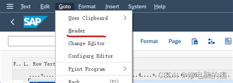 sap通过函数read text读取长文本 sap read text csdn博客