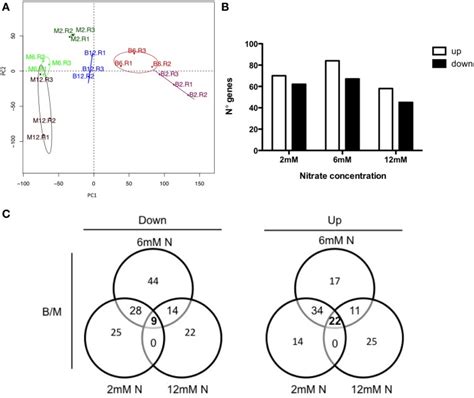 Transcriptome Analysis Reveals Regulatory Networks Underlying
