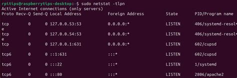 Effective Ways To Check Open Ports On Linux Ubuntu Raspberrytips