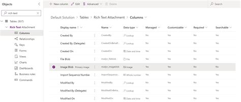 the hidden agenda of rich text fields areti iles