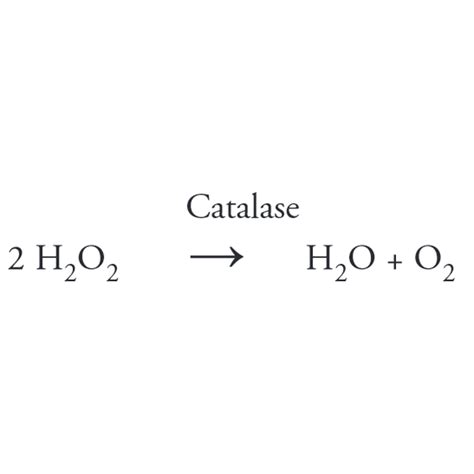 Hydrogen Peroxide Chemical Equation Tessshebaylo