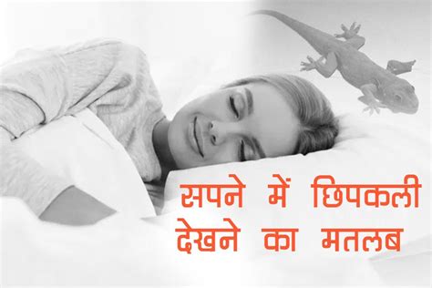 सपने में छिपकली देखने का मतलब जानकर हो जाएंगे जानिए यह शुभ है या अशुभ