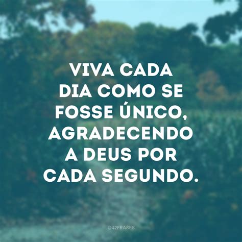 43 Coleção Frases Agradecimento A Deus Pelo Livramento Coleção De Frase