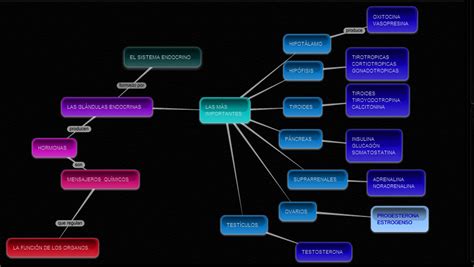 Download Mapa Conceptual Del Sistema Endocrino Completo  Nietma Riset