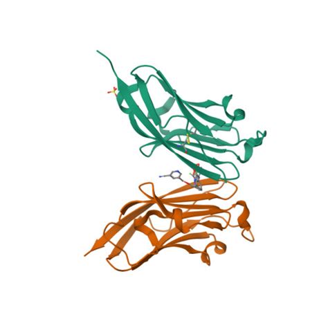 RCSB PDB 9ERY Co Crystal Strucutre Of PD L1 With Low Molecular