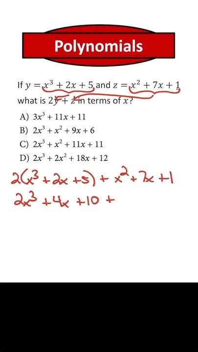 polynomials shorts math youtube